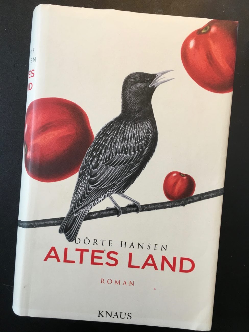 Stammbücher: Dörte Hansen - "Altes Land" - René Schneider